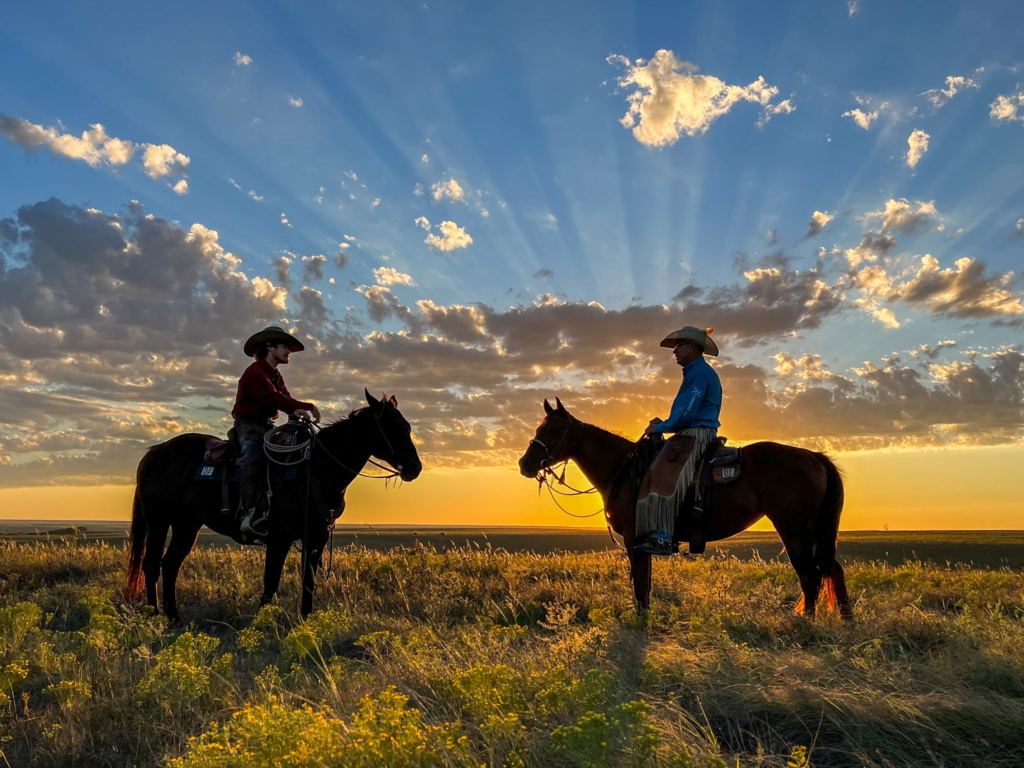Dan Esarey - Silver Sycamore
