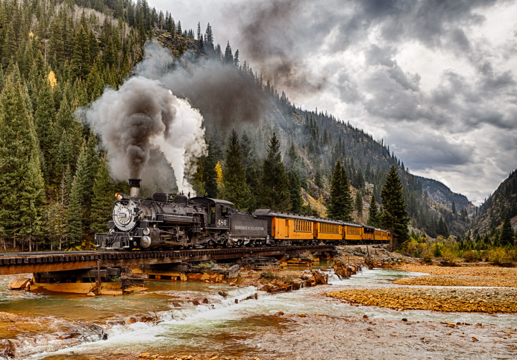 Dan Esarey - Silver Sycamore