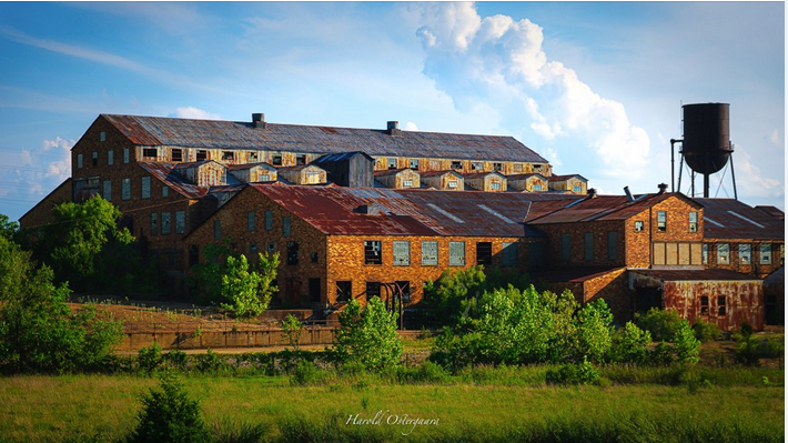 Silver Sycamore Artist Wins Award - Silver Sycamore